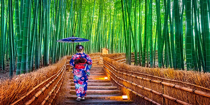 Take No Michi di Kyoto – Wisata Hutan Bambu Yang Sejuk & Indah