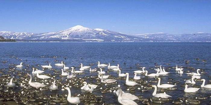 Lake Inawashiro – Wisata Danau Terbesar Dengan Air Jernih